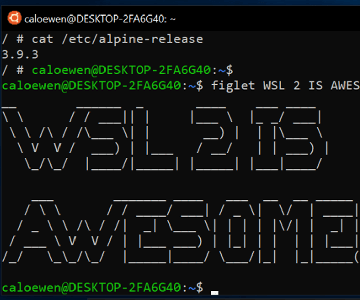 Windows Subsystem for Linux - Windows Insider